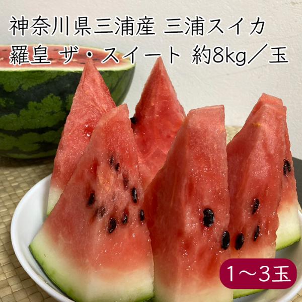 ・秀品 大玉スイカ（品種 羅皇ザ・スウィート｜神奈川県三浦産）羅皇特有のシャリ感が強く、それでいて通常の羅皇よりも甘味が強い羅皇ザ、スウィート。糖度13〜14度にもなります。・季節限定 収穫時期に販売成長により前後することはありますが、例年...