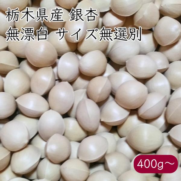 【発売日：2026年11月17日】・栃木県産 銀杏栃木県で栽培された銀杏です。銀杏の木は、20年以上、無肥料、無農薬、無除草剤で栽培しています。洗浄に漂白剤は使用せず、保存用の薬品等も使用していません。サイズ無選別でお送りしています。・オス...