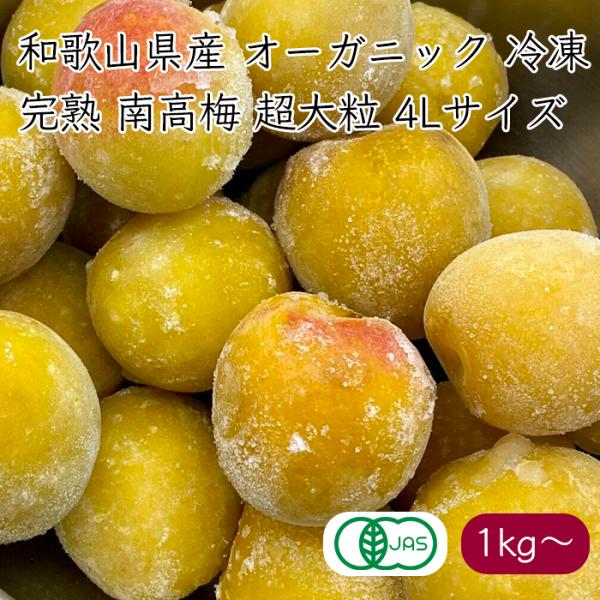 ★確認事項の数量から量と価格が確認できます★・たかだ果園の完熟有機冷凍南高梅たかだ果園の完熟有機冷凍南高梅は、4Lサイズなので、果肉が沢山とれるのが特徴です。完熟の4Lサイズなので、ジャムにすると黄金色に、シロップにすると豊富な果汁を抽出で...