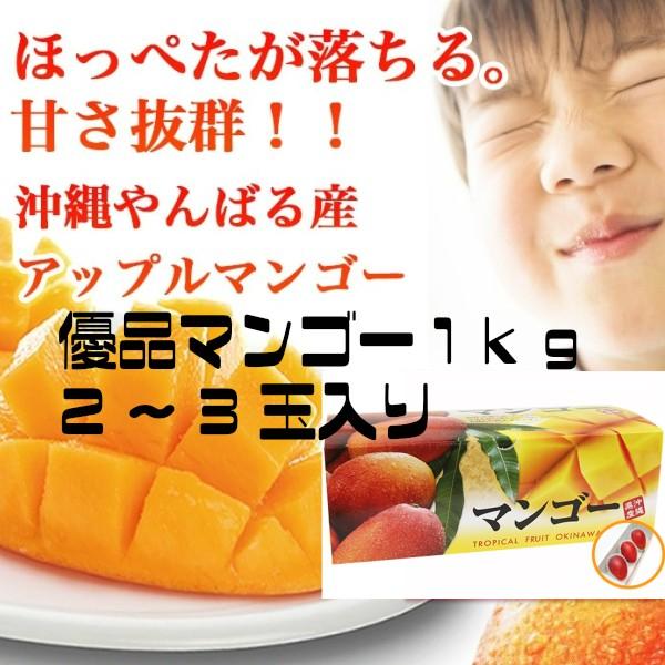 ほっぺたが落ちる。甘さ抜群！沖縄やんばる産マンゴー！1kg箱に2〜3玉入っています。※生ものですので、ご注文後のキャンセルは受付出来ません。また仕入れ出来次第、新鮮な状態ですぐに発送したい為、お届け指定日はご遠慮ください。指定日が入力されて...