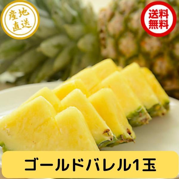 沖縄県産のゴールドバレルパイン。1玉が約1.5kgサイズです。沖縄県から産地直送で送料無料！！今が旬のゴールドバレルは、沖縄県で栽培されている高級パイナップルの一種です。通常のパインよりも約2倍ほど大きく、甘くてさっぱりした味が特徴です。黄...