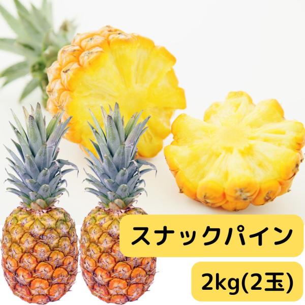 沖縄県産Ａ級品のボゴールパイン約2ｋｇの2玉入りです。収穫時期によってサイズが変わりますので、サイズまたは数量のご指定は出来ません。沖縄県から産地直送で送料無料!今が旬のボゴールパイン。季節や農園により、色が黄色いパイン、緑色のパインがあり...