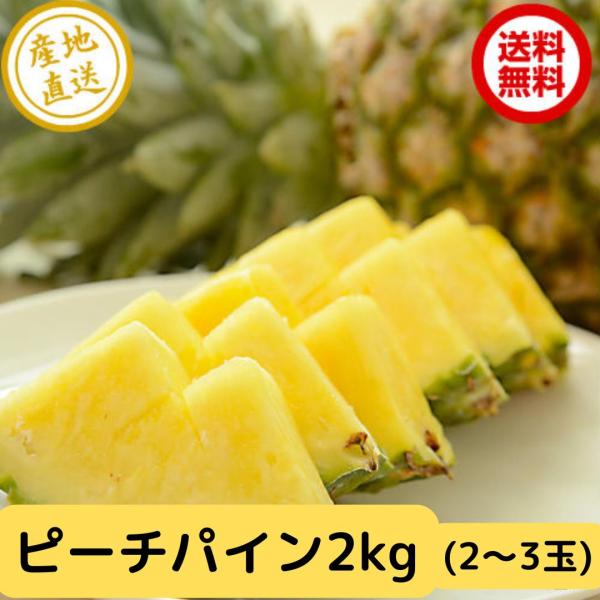 沖縄県産秀品のピーチパイン2ｋｇ。2〜3玉入っています。※サイズ指定は出来ません。沖縄県から産地直送で全国どこでも送料無料!パイナップルなのにほんのり桃の香りがする不思議な「ピーチパイン」。酸味が少なく糖度が高いのが特徴です。追熟しませんの...