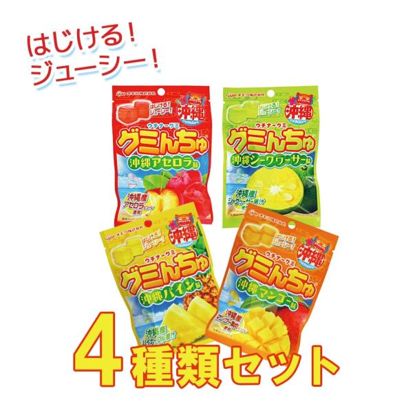 沖縄産シークヮーサー果汁とパイン果汁とマンゴー果汁とアセロラ果汁を使用したはじけるグミシークァーサー、パイン、マンゴー、アセロラ好きの方にオススメです名称：グミキャンディ原材料名：水あめ（国内製造）砂糖、ゼラチン、シークワーサー果汁(沖縄県...