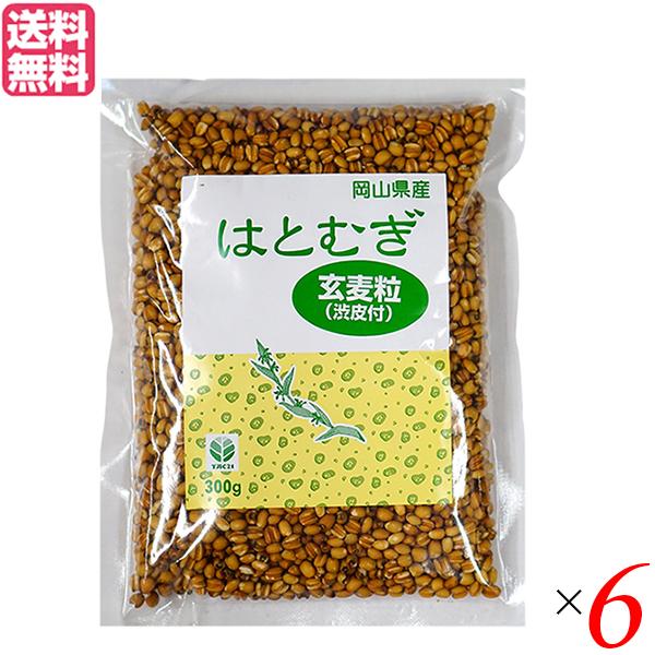 【免責事項】※記載の賞味期限は製造日からの日数です。実際の期日についてはお問い合わせください。※自社サイトと在庫を共有しているためタイミングによっては欠品、お取り寄せ、キャンセルとなる場合がございます。※商品リニューアル等により、パッケージ...