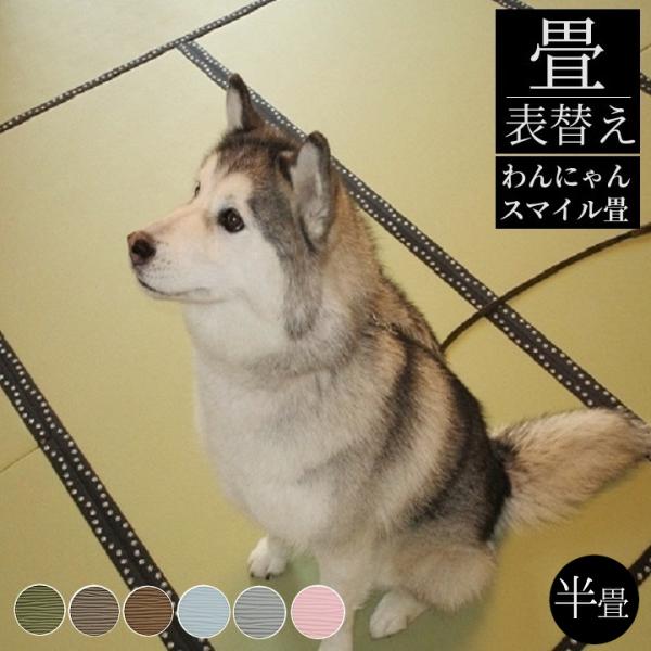 ■商品サイズ　江戸間サイズ　（88×88cm以下）プラス2cmまで対応します。※京間サイズ（96×96cm）はお問合せ下さい。■畳表替え：お使いの畳床はそのままで畳表を張替えます。■価格に含まれるもの：工賃、畳替えに伴う家具の移動、配送料（...