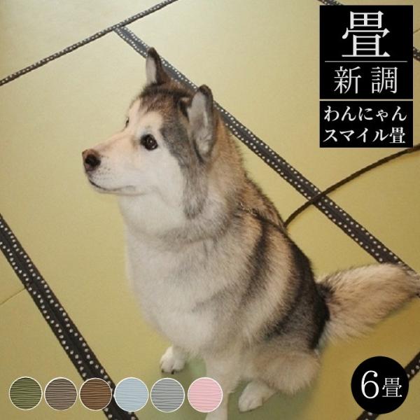 ■わんにゃんスマイル畳の畳替えです。■新調畳　畳床・畳表・縁を新品と交換します。■価格に含まれるもの　工賃、材料、古畳処分、畳替えに伴う家具の移動、配送料（30段以上の階段・30ｍ以上の運搬が有る場合は別途）■畳表　わんにゃんスマイル畳　■...