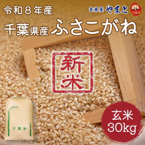 【発売日：2026年09月11日】新米 令和8年産 千葉県産ふさこがね 1等 玄米 30kg 一等検査米 30キロ