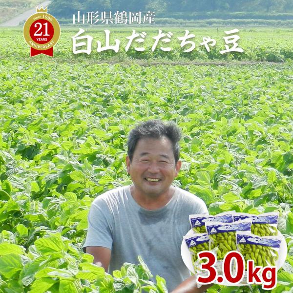 山形県鶴岡産「白山だだちゃ豆」。茹で上がるころにただよう、甘く香ばしい何ともいえない芳醇な香り。食欲を誘う鮮やかな緑色。口いっぱいに広がる強い甘みと濃厚なコク。さやには茶色いうぶ毛、くびれが深く、見栄えは必ずしも良くありません。しかし一度食...