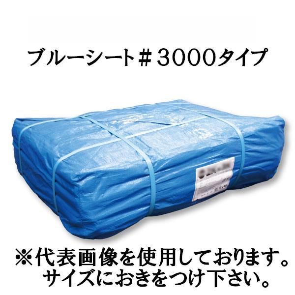 ◇同梱不可に関しての注意事項◇こちらの商品は、他商品との合わせての同時注文不可の商品となります。こちらの注文手続きは、この商品のみででご注文ください、この商品のみでの複数ご購入は可能です。他の商品をご購入する際は、こちらの商品とカートを分け...