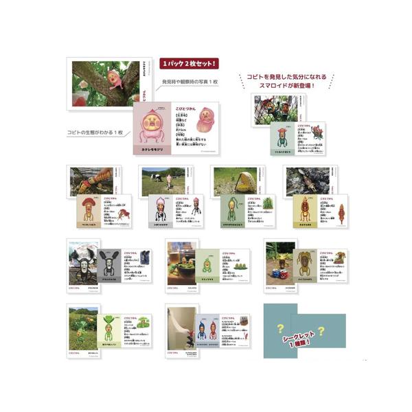サイズ：約　横89×縦55mm程の小さめの写真・こびとづかんキャラクターの特徴が書いた1枚・ポラロイドカメラ風写真1枚合計2枚入り本商品は、2枚入り×12個が全て揃うコンプリートセット。こびとに目覚めた時のアルバムと一緒に保管すると思い出が...