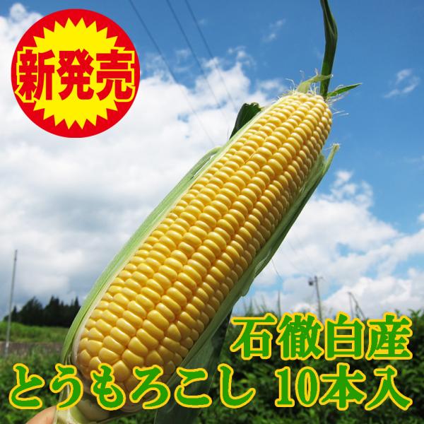 【発売日：2026年08月03日】品種名：ほしつぶコーン内容量：とうもろこし10本重量：約3kg産地：岐阜県郡上市石徹白岐阜県郡上市白鳥町にある、石徹白（いとしろ）という地域は標高700ｍ以上に位置する、とても寒暖差の激しい地域です。寒暖差...