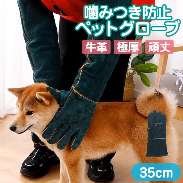 噛みつきやひっかきから腕や手を守る厚手牛革製のペットグローブ。厚手の手袋なのでひっかきや噛みつきでも安心傷つきません。耐摩耗性・耐熱性に優れているのでキャンプやDIY、ガーデニングなどでもお使いいただけます。木の枝やトゲなどに刺さることがな...