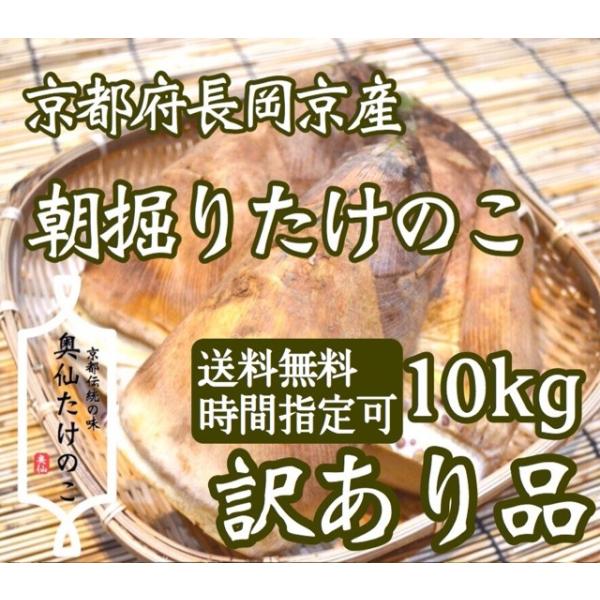 【発売日：2026年04月04日】京都府長岡京産 朝掘りたけのこ 訳あり品 約10kg大きさにバラつきがございますが品質には全く問題のない新鮮な朝掘りたけのこです。※　こちらの商品は4月上旬から4月下旬にかけて順次発送させていただきます。※...