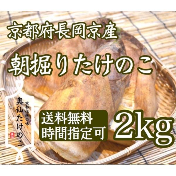 【発売日：2026年04月04日】京都府長岡京産　朝掘りたけのこ　約2kg　（今年は比較的大きめサイズの美しいたけのこが多いので3kg〜4kgが大変おすすめです。）たけのこ作りに適したその豊かな土壌から京たけのこの生産地として名高い京都府長...