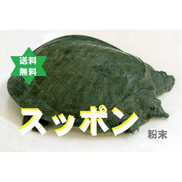 【健康食品】高級滅菌すっぽん全身使用パウダー100％.安心安全パウダーを安価にて,送料当店負担・ご提供.