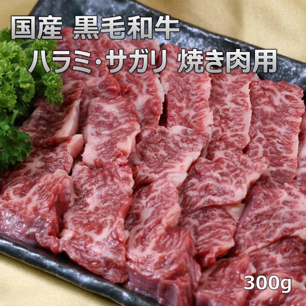 ■商品名　福島県産和牛ハラミサガリ焼肉用■産地　国産■加工地　福島県（福島県内でと畜・加工）■原料　和牛ハラミ・サガリ■内容量　300ｇ　重量で商品をお作りしています。個体差によりお肉の大きさが違うので枚数が異なる場合がございます。　■賞味...