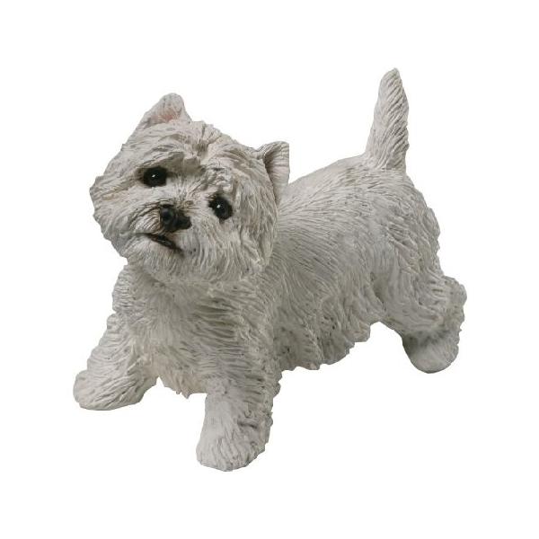 当サイトをご覧頂き誠にありがとうございます。弊社商品は全て正規店からの新品・並行輸入品です。税関手続・関税払いは全て弊社で対応の上、全国送料無料でお届けします。弊社海外倉庫より国内に発送しますので、お届けまで2-15営業日程度お時間を頂いて...