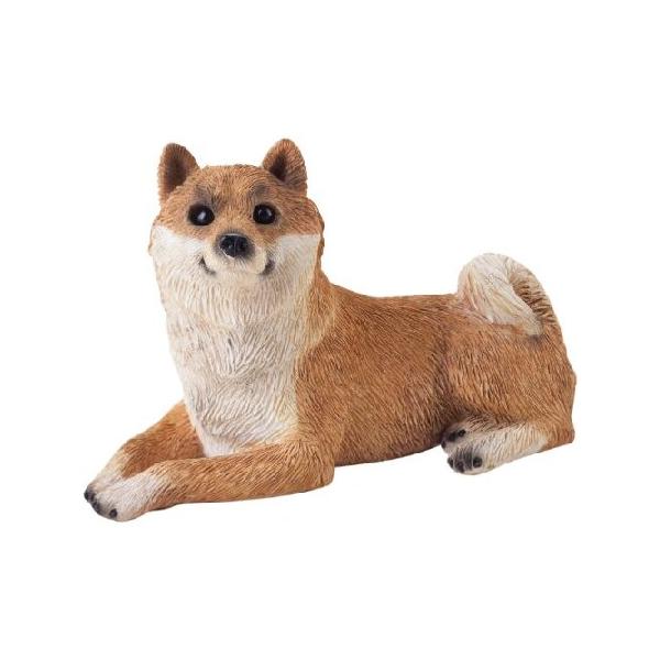 当サイトをご覧頂き誠にありがとうございます。弊社商品は全て正規店からの新品・並行輸入品です。税関手続・関税払いは全て弊社で対応の上、全国送料無料でお届けします。弊社海外倉庫より国内に発送しますので、お届けまで2-15営業日程度お時間を頂いて...