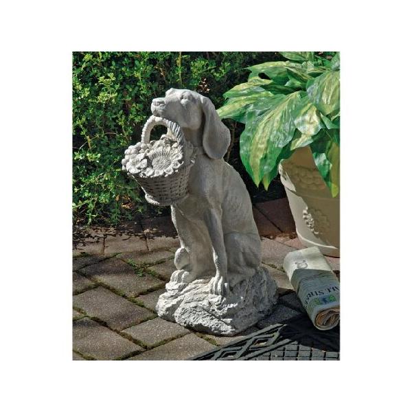 当サイトをご覧頂き誠にありがとうございます。弊社商品は全て正規店からの新品・並行輸入品です。税関手続・関税払いは全て弊社で対応の上、全国送料無料でお届けします。弊社海外倉庫より国内に発送しますので、お届けまで2-15営業日程度お時間を頂いて...