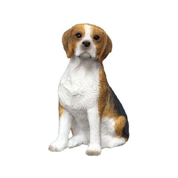 当サイトをご覧頂き誠にありがとうございます。弊社商品は全て正規店からの新品・並行輸入品です。税関手続・関税払いは全て弊社で対応の上、全国送料無料でお届けします。弊社海外倉庫より国内に発送しますので、お届けまで2-15営業日程度お時間を頂いて...