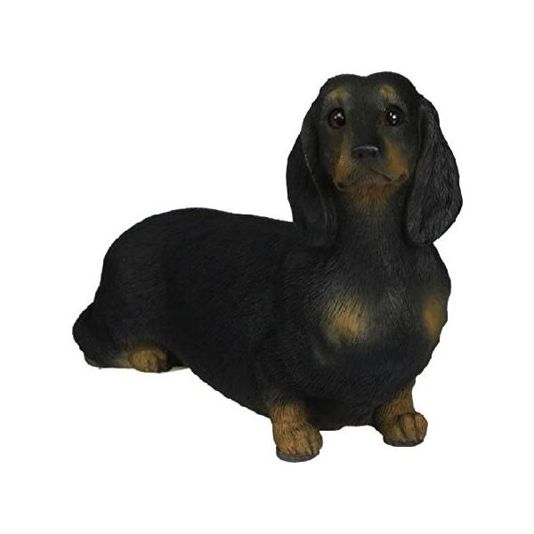 当サイトをご覧頂き誠にありがとうございます。弊社商品は全て正規店からの新品・並行輸入品です。税関手続・関税払いは全て弊社で対応の上、全国送料無料でお届けします。弊社海外倉庫より国内に発送しますので、お届けまで2-15営業日程度お時間を頂いて...