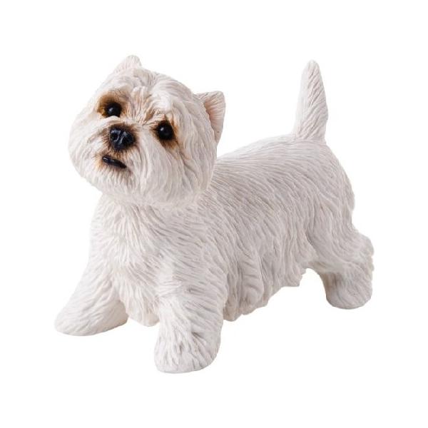 当サイトをご覧頂き誠にありがとうございます。弊社商品は全て正規店からの新品・並行輸入品です。税関手続・関税払いは全て弊社で対応の上、全国送料無料でお届けします。弊社海外倉庫より国内に発送しますので、お届けまで2-15営業日程度お時間を頂いて...