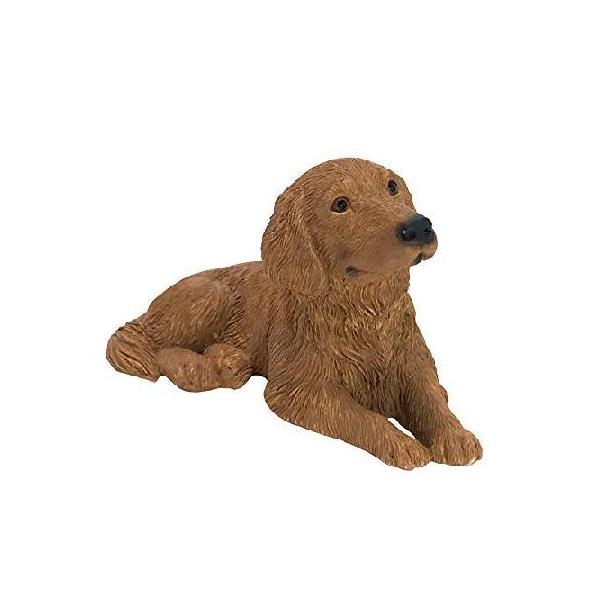 当サイトをご覧頂き誠にありがとうございます。弊社商品は全て正規店からの新品・並行輸入品です。税関手続・関税払いは全て弊社で対応の上、全国送料無料でお届けします。弊社海外倉庫より国内に発送しますので、お届けまで2-15営業日程度お時間を頂いて...