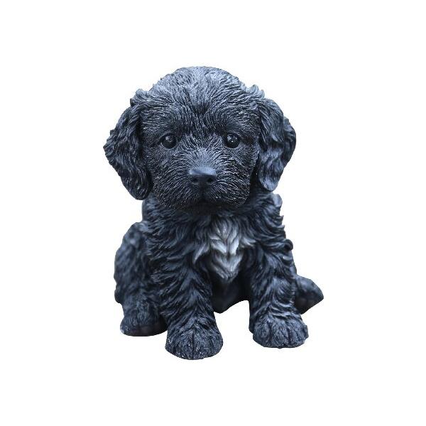 当サイトをご覧頂き誠にありがとうございます。弊社商品は全て正規店からの新品・並行輸入品です。税関手続・関税払いは全て弊社で対応の上、全国送料無料でお届けします。弊社海外倉庫より国内に発送しますので、お届けまで2-15営業日程度お時間を頂いて...