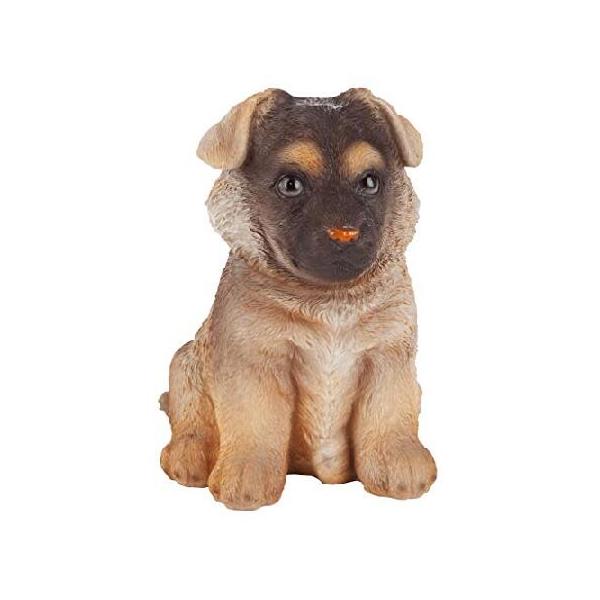 当サイトをご覧頂き誠にありがとうございます。弊社商品は全て正規店からの新品・並行輸入品です。税関手続・関税払いは全て弊社で対応の上、全国送料無料でお届けします。弊社海外倉庫より国内に発送しますので、お届けまで2-15営業日程度お時間を頂いて...