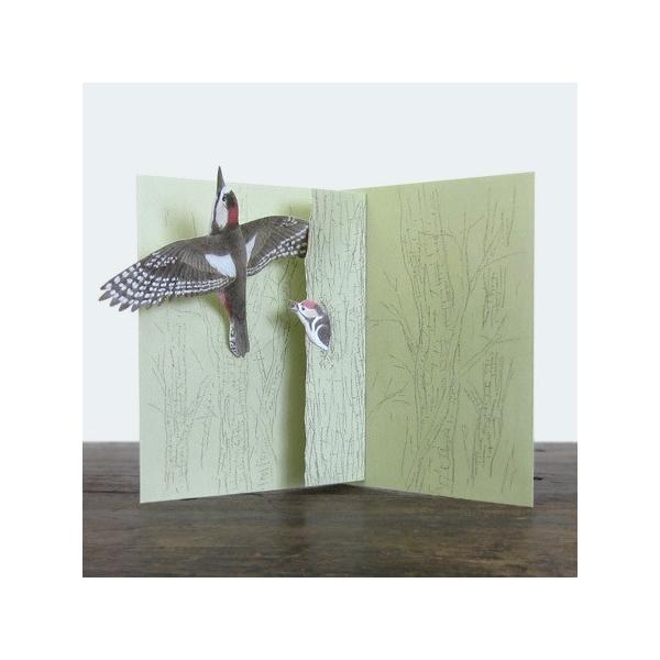 小鳥の絵や小物を制作している、イラストレーターのユカワアツコさんデザインのグリーティングカードです。こちらはアカゲラ。二つ折りのカードの表紙に描かれているのは、羽を休めてとまっている鳥です。カードを開くと鳥が飛び出すというしくみのトビダスト...