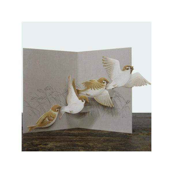 小鳥の絵や小物を制作している、イラストレーターのユカワアツコさんデザインのグリーティングカードです。こちらはスズメ。二つ折りのカードの表紙に描かれているのは、羽を休めてとまっている鳥です。カードを開くと鳥が飛び出すというしくみのトビダストリ...