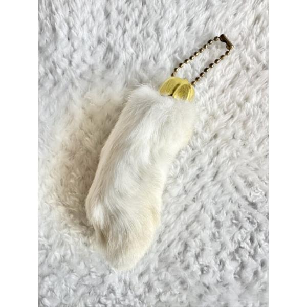 フランスはもちろん、ヨーロッパ全域で有名なラッキーアイテムです。   うさぎは、地下に穴を掘り生活をするため地下の精霊と交流していると信じられていました。 また、うさぎは多産であることや、産まれて来るときに目を開けたままで産まれる事から 子...