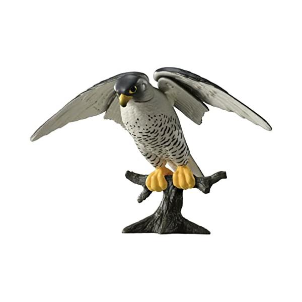 「商品情報」商品紹介アニアASシリーズに「ハヤブサ」が登場!ハヤブサは、頭が動き、羽が広がります。止まり木付きです。【セット内容】フィギュア(1),止まり木(1),図鑑カード(日本語)(1),図鑑カード(英語)(1),安全警告該当なし「主な...