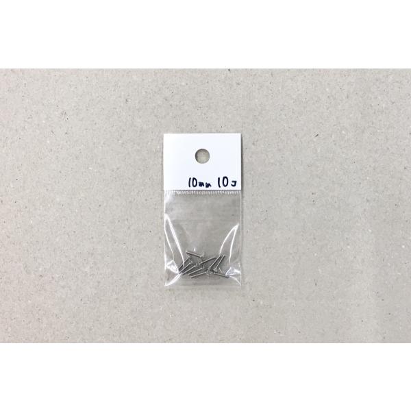 ※こちらの商品はタミヤ製ではありません。　ミニ四駆公式大会では利用できませんので予めご了承ください。詳細サイズ：M2長さ：１０ｍｍ材質：ステンレス製内容：１０本入り生産国：日本