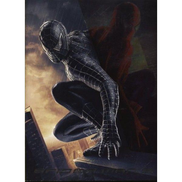 2007年　東宝コロンビア映画監督：サム・ライミ　Sam Raimiトビー・マグワイア　Tobey Maguireキルスティン・ダンスト　Kirsten Dunstジェームズ・フランコ　James Franco表紙・裏表紙に少々傷あり、写真...