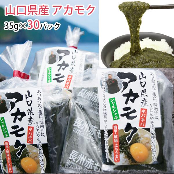 アカモク　山口県産「まいにちアカモク」35g×30パックセット無添加、無着色、保存料不使用です。山口県産のアカモク使用本州最西端に位置する山口県は三方を海で囲まれ、新鮮な海産物の宝庫です。■驚きの 低カロリー!当店のアカモクは1袋あたり4....