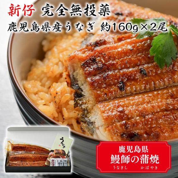 ◆商品説明新仔うなぎは、生後1年未満の希少な若いうなぎです。一番育ちのよい「一番仔」が持つ抜群の、皮目・身・骨の柔らかさは、まさに噛むのを忘れてしまうほど！とろけるほど濃厚な美味しさはくせになり何度も食べたくなってしまう事間違いなし。完全無...