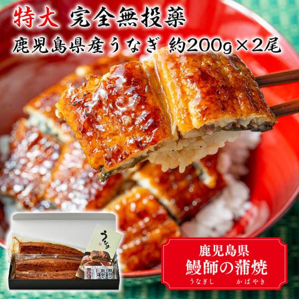 ◆商品説明鹿児島県 無投薬の蒲焼き肉厚でふわっと蒸した柔らかな身。うなぎを炭火で焼き上げふんわり甘みが凝縮。南鹿児島の大自然の清らかな水、テクノロジーを駆使した衛生管理、鰻の育成に人生をかけ 24時間体制で育てました。抗生物質、合成抗菌剤を...