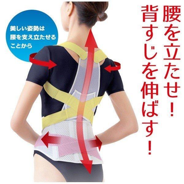 本体サイズ 【適応サイズ】M-L：ウエスト60-75cmL-LL：ウエスト70-85cmLL-3L：ウエスト80-95cm ●原産国：日本 商品説明●理想のS字カーブを手に入れる秘訣●美しい姿勢は腰を支え、立たせることから●腰を支え、立たせ...