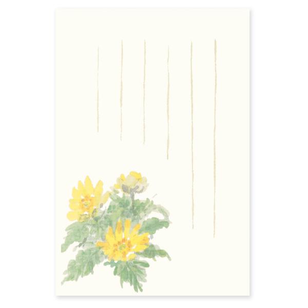 年賀状・お礼状・寒中御見舞い・季節のお便りにおすすめ。和紙のはがきに日本の四季の風物・草花を描いた「季節のはがき」シリーズです。はがきには、表面がキラキラと光る簀の目（すのめ）の和紙を使用し、角度によってさりげなく光ります。新年を祝い、春を...