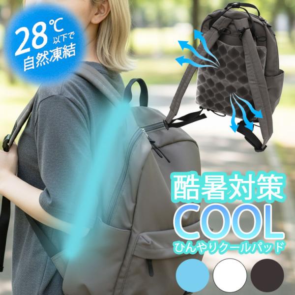 ・熱がこもりやすい背中をひんやりクールダウンしてくれるアイテム・背中を冷やすことで、全身の熱を冷やし熱中症対策にも！ ・製品が溶けても、涼しい空間に置くだけで再び凍らせて繰り返し使える！・大人から子供まで使えるサイズ＆デザインで家族間でつか...