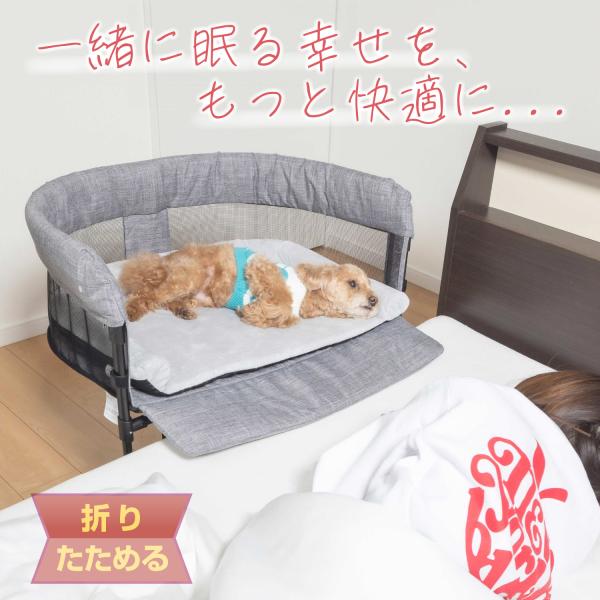 製品型番：OMD-BSPB25サイズ（約）　本体（ベッド部内寸）：W640 × D470 × H280mm　　　　　　　本体（全体）：W770 × D900 × H750〜980mm　　　　　　　折りたたみ時（ベッド部のみ）：W720 × ...