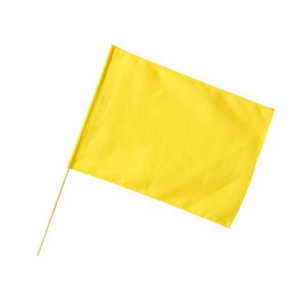 ■組体操に変わる演目として日本大学文理学部体育学科の■大旗による集団行動演技が話題！ 太くて丈夫な丸棒