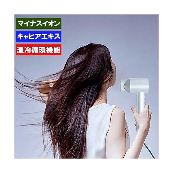 【発売日：2023年01月12日】■キャビアエキスを凝縮したピース(キャビアエキスピース)をセットにした専用のキャビアノズルが付属しています。■キャビアエキスピースの成分は、保湿効果を持つ各種ビタミンや、髪の紫外線ダメージを回復し、髪の水分...