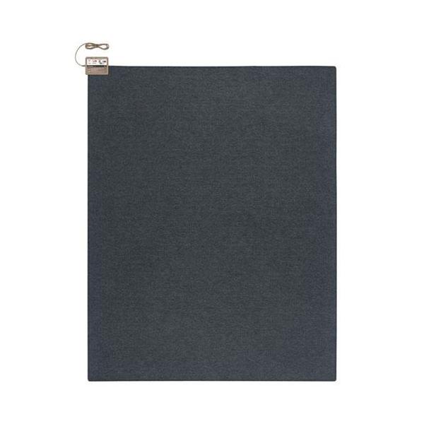 【発売日：2016年09月01日】■省エネモード(室温センサー)&amp;2面3通り切り替えで節電■2時間、4時間 切タイマー機能&amp;8時間切り忘れ防止機能搭載■ダニ対策機能搭載■長期保証規定を予めご確認ください。（法人加入不可）