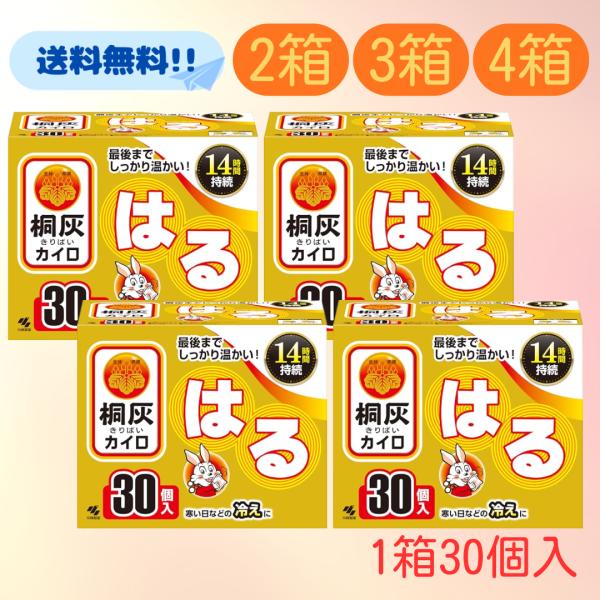 ■商品説明衣類に貼るカイロ最後までしっかり温かい！寒い日などの冷えに14時間持続■内容量1箱30個入■販売元小林製薬株式会社■原材料名鉄粉、水、活性炭、吸水性樹脂、バーミキュライト、塩類■使用上の注意就寝時は使用しない布団の中や暖房器具の併...