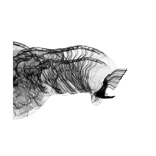 【発売日：2022年01月19日】坂東祐大 (バンドウユウタ ばんどうゆうた)2022年1月19日 発売『大豆田とわ子と三人の元夫』や『竜とそばかすの姫』、そして『報道ステーション』のテーマ曲などで活躍中の坂東祐大による、本流・現代作曲家と...