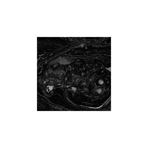 【発売日：2019年03月20日】BiS (ビス びす)2019年3月20日 発売2018年12月29日のZepp Tokyoで行われたツアーファイナルで、BiSを2グループに分裂させていた(BiS.LEAGUE)が廃止することが発表された...