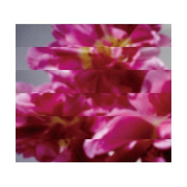 【発売日：2017年06月07日】MONDO GROSSO (モンドグロッソ もんどぐろっそ)2017年6月7日 発売プロデューサー、DJとして活躍する大沢伸一の原点ともいえるプロジェクト MONDO GROSSO(モンド・グロッソ)。19...